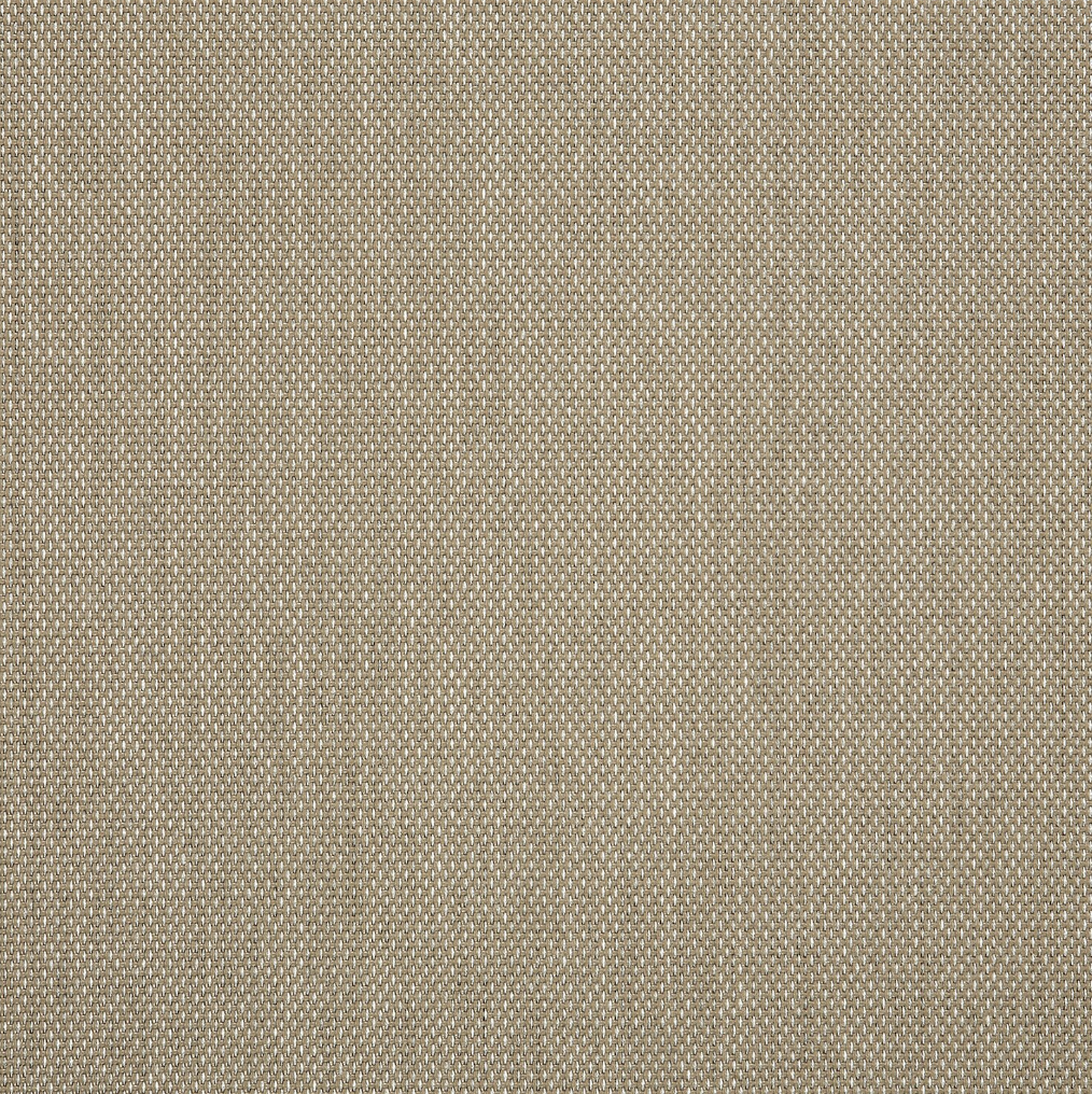Augustine Ashe - American Slings and Patio Supplies